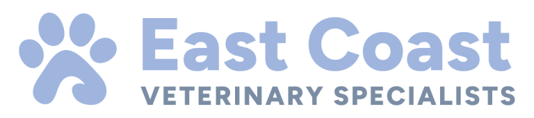 East Coast Vet Specialists | Caloundra Sunshine Coast Vet